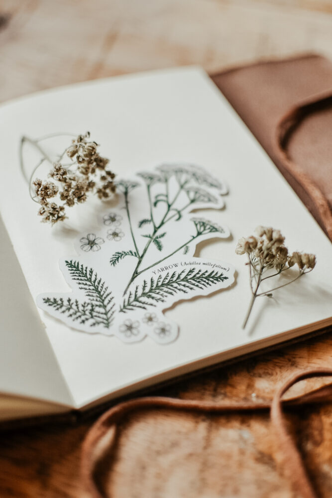 Herbal Sticker Sets – Herbal Academy