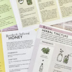 Herbal Preparations Recipe Guides – Herbal Academy