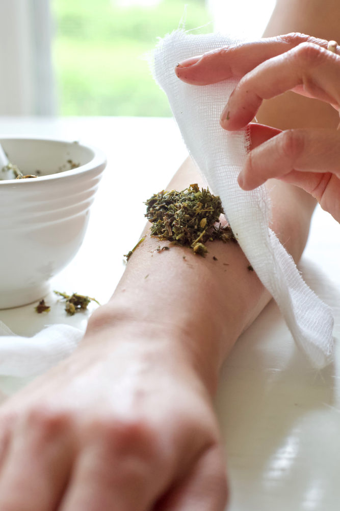 3 Ways To Use Self Heal In Your Materia Medica