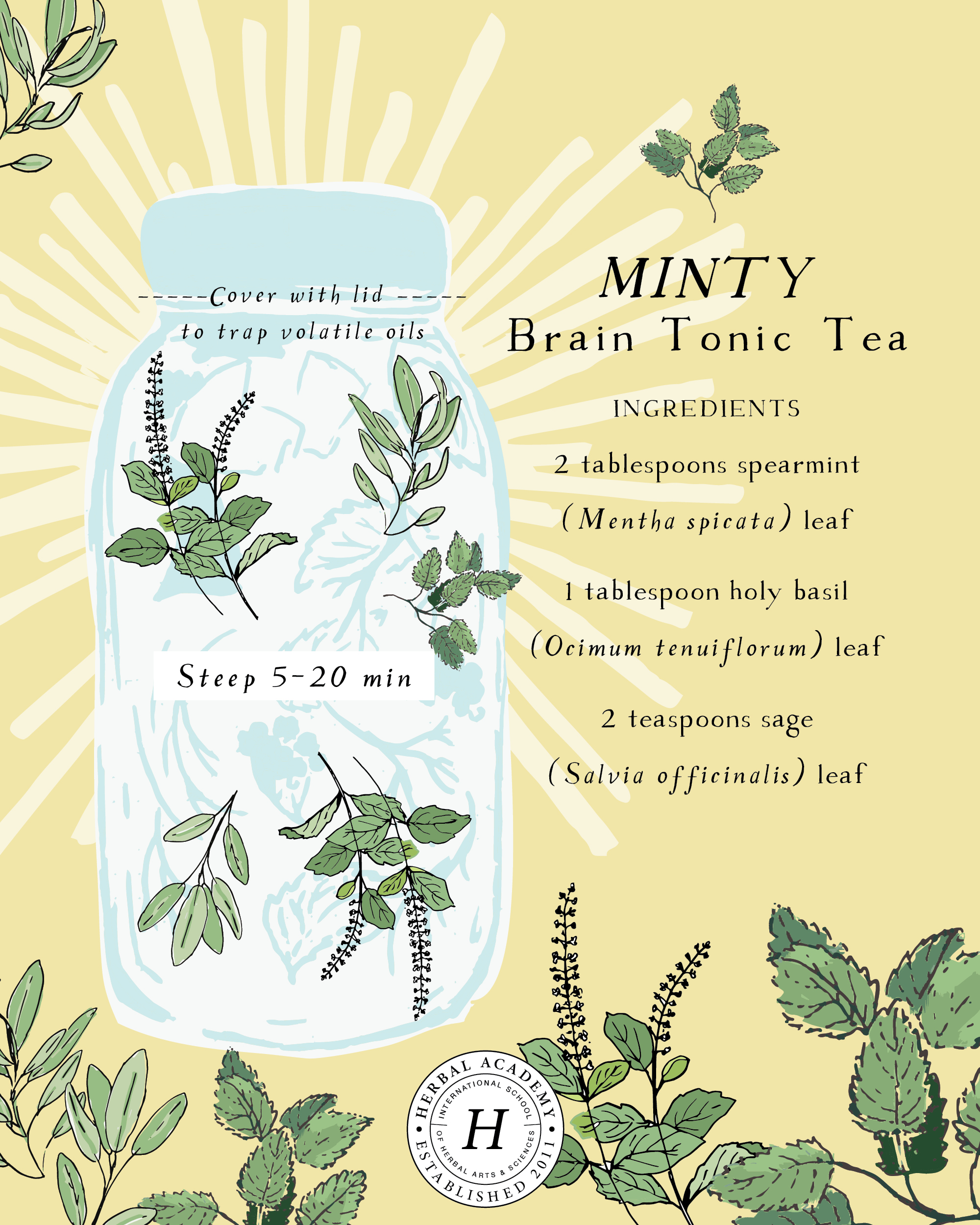 Our Favorite Study Herbs (Plus A Memory Tonic Tea Recipe)