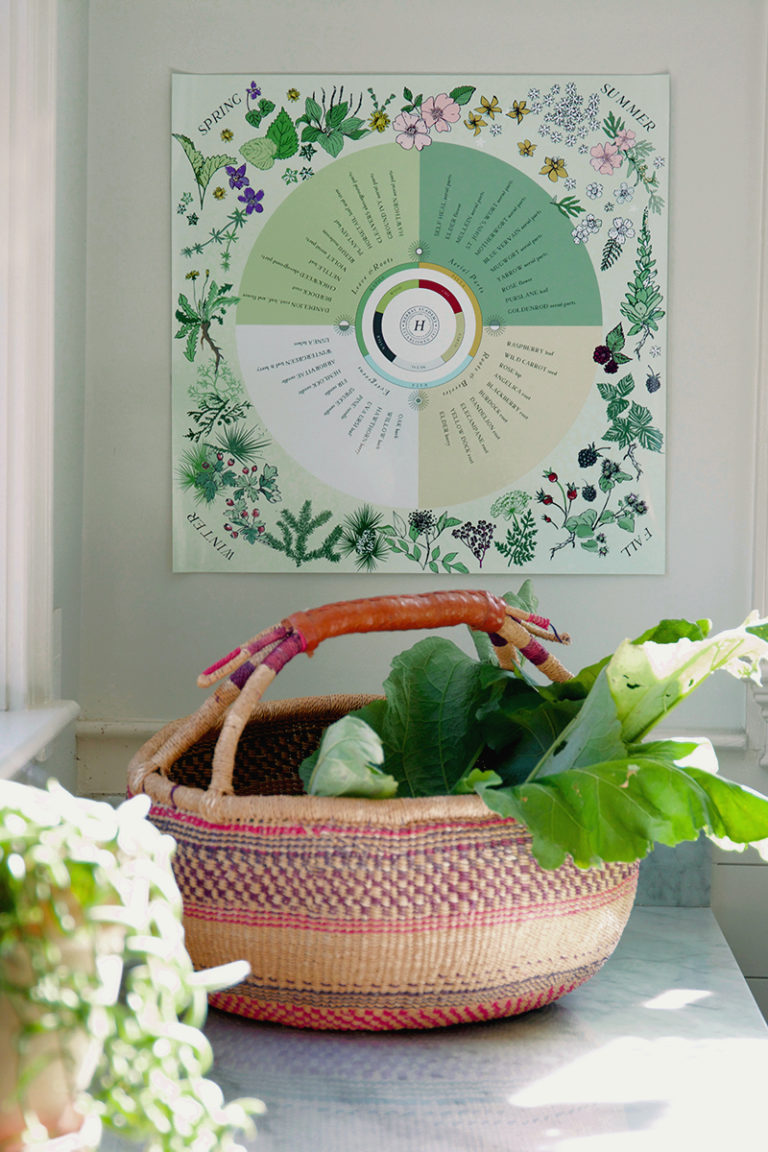 Seasonal Foraging Poster | Herbal Academy