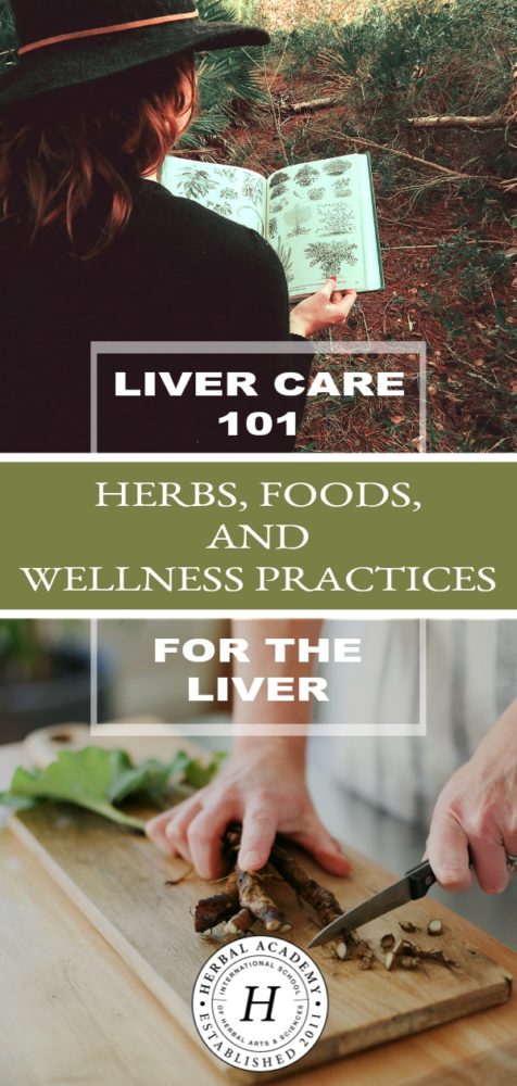 Liver Care 101: Key Wellness Practices For Liver Support
