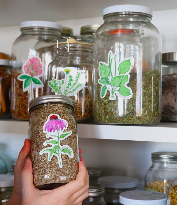 Herbal Sticker Sets – Herbal Academy
