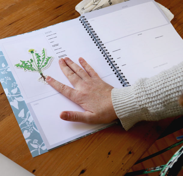 Herbal Sticker Sets – Herbal Academy