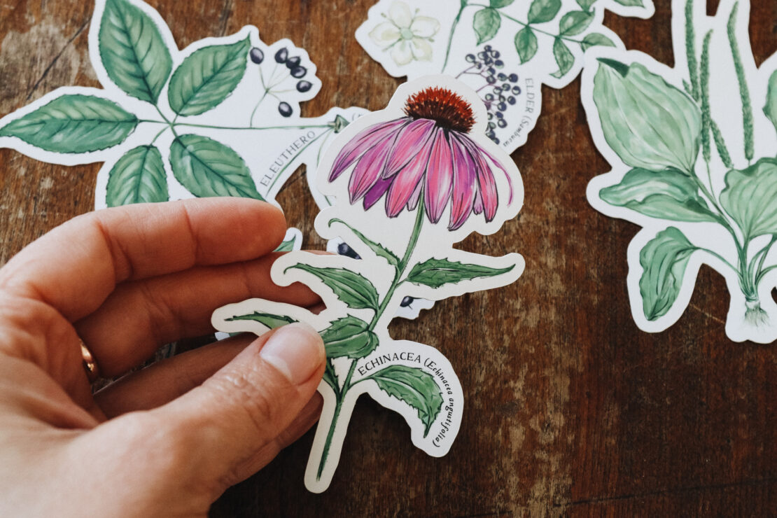 Herbal Sticker Sets – Herbal Academy