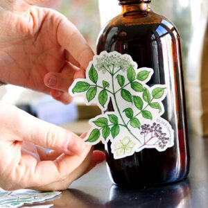 Herbal Sticker Sets – Herbal Academy