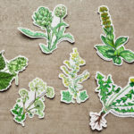 Herbal Sticker Sets – Herbal Academy