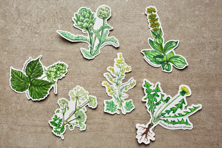 Herbal Sticker Sets – Herbal Academy