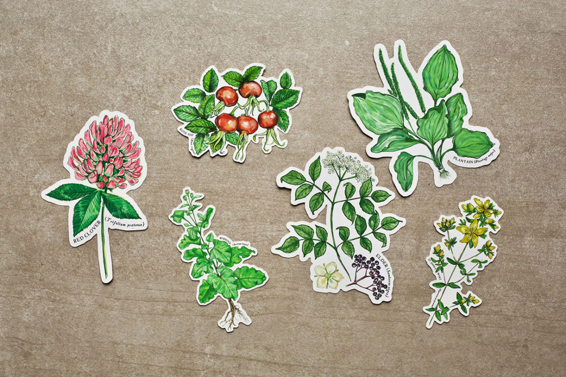 Herbal Sticker Sets – Herbal Academy