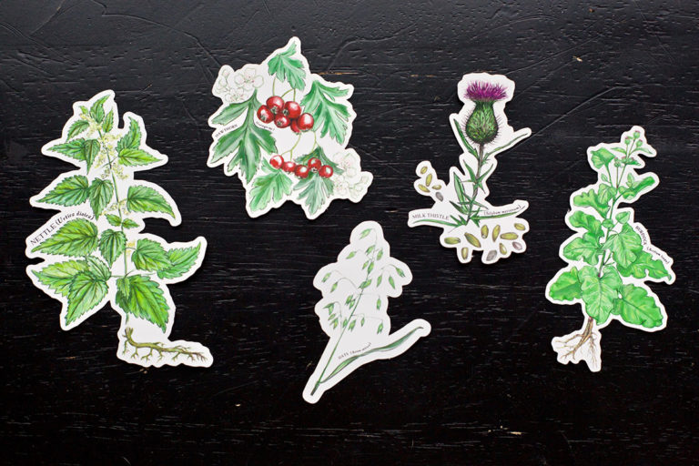 Herbal Sticker Sets – Herbal Academy