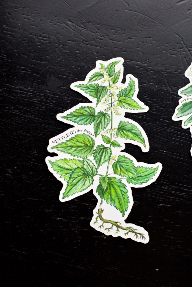 Herbal Sticker Sets – Herbal Academy