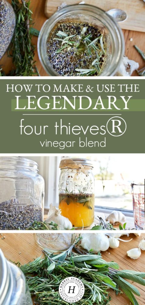 How to Make and Use the Legendary Four Thieves Vinegar Blend