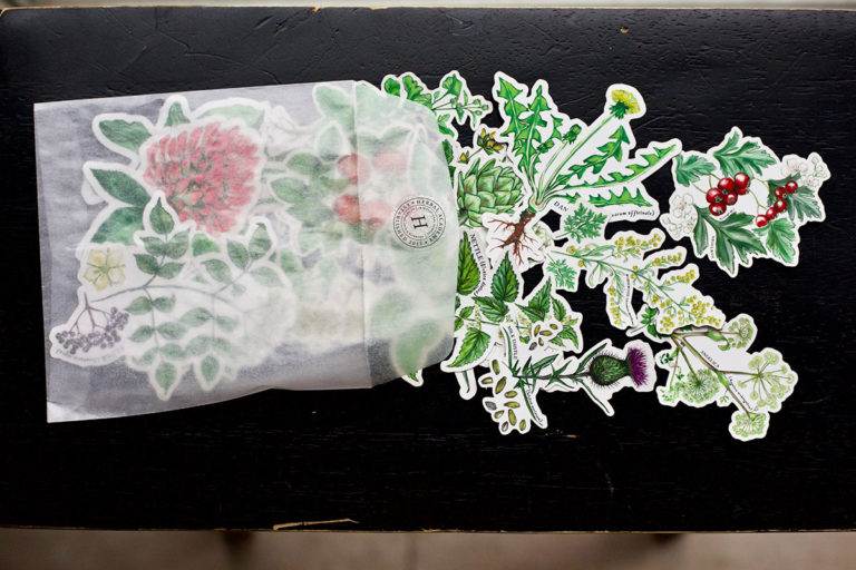 Herbal Sticker Sets – Herbal Academy