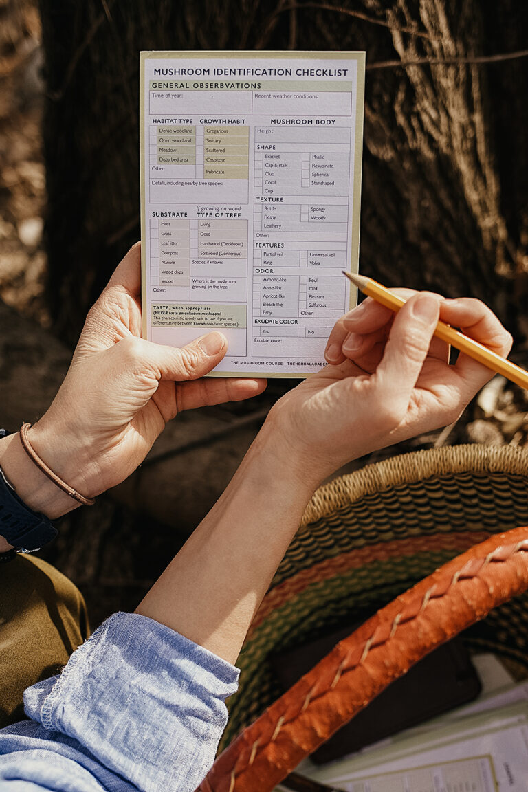 Mushroom Foraging Kit – Herbal Academy