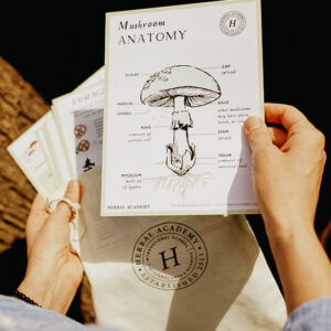 Mushroom Foraging Kit – Herbal Academy
