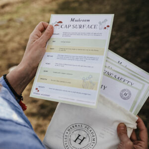 Mushroom Foraging Kit – Herbal Academy