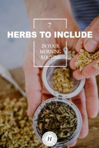 7 Herbs to Include in Your Morning Routine – Herbal Academy