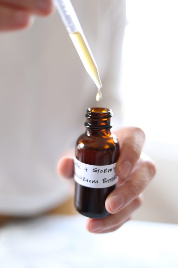 Dark and Stormy Mushroom Bitters Recipe – Herbal Academy