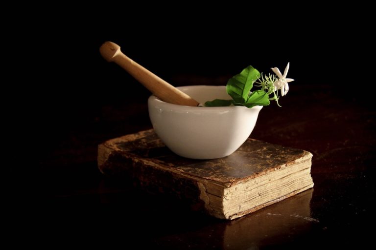 The Four Humours of Ancient Greek Medicine | Herbal Academy
