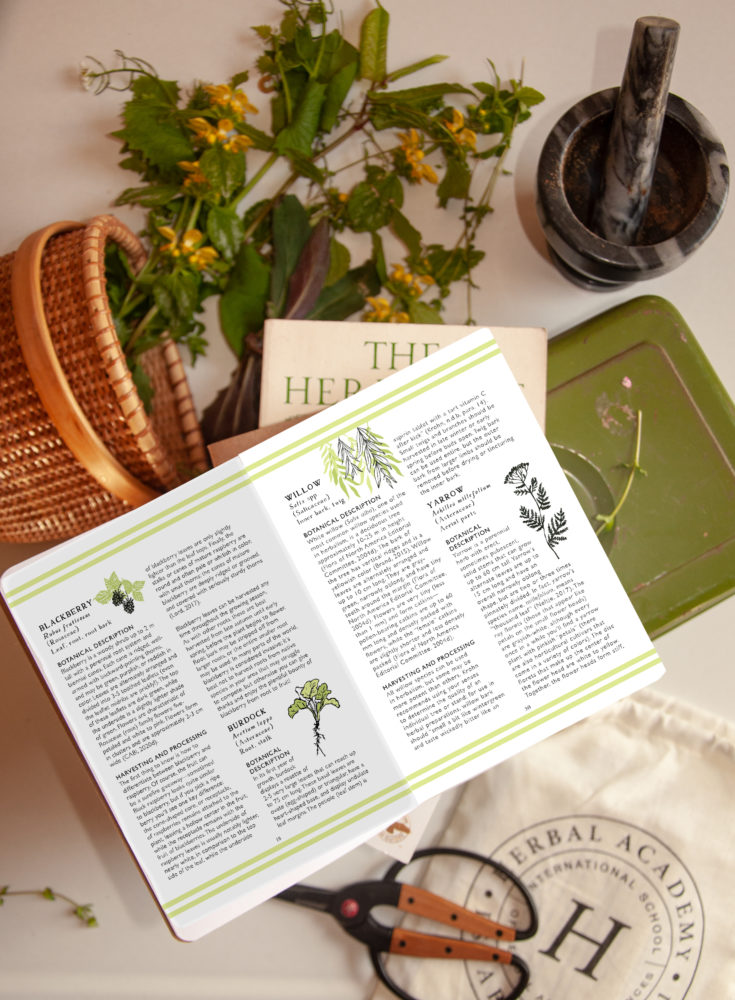 Forager's Pocket Guides – Herbal Academy