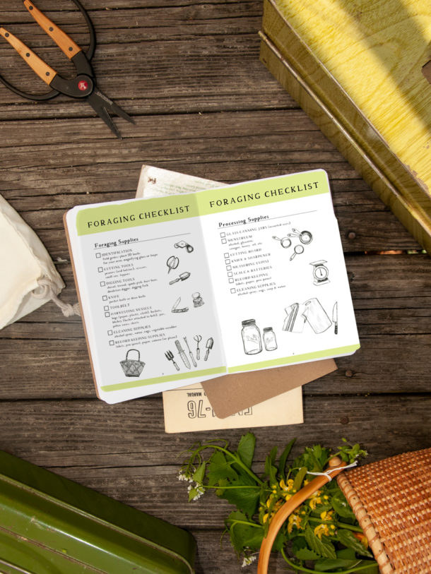 Forager's Pocket Guides – Herbal Academy