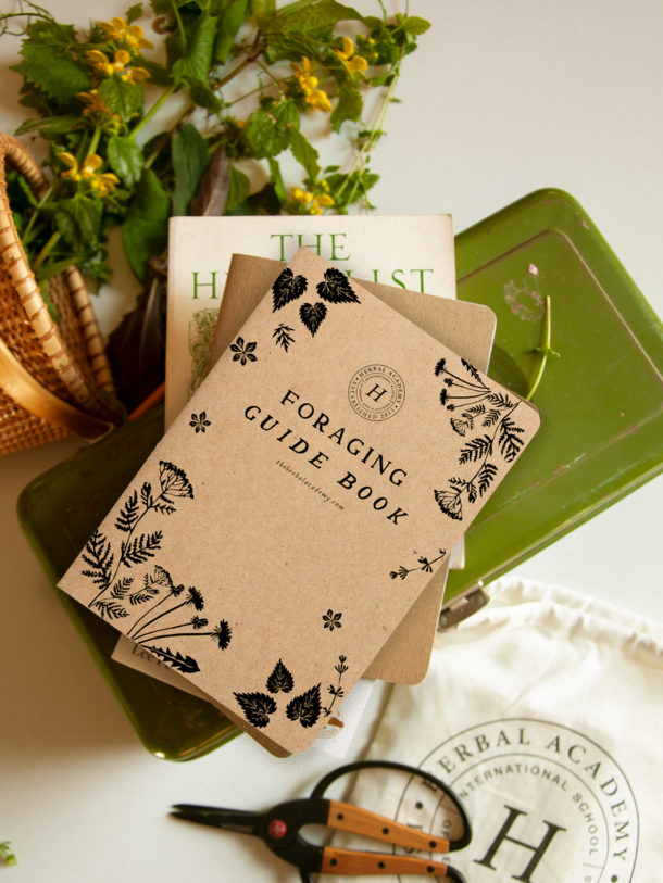 Forager's Pocket Guides – Herbal Academy