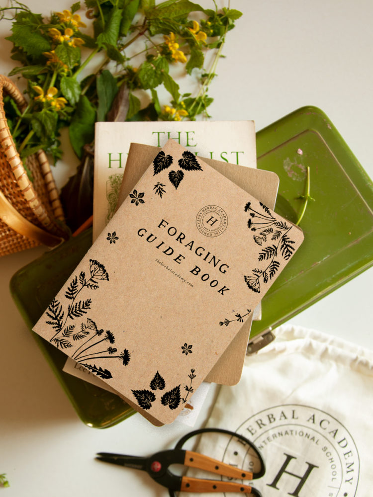 Forager's Pocket Guides – Herbal Academy