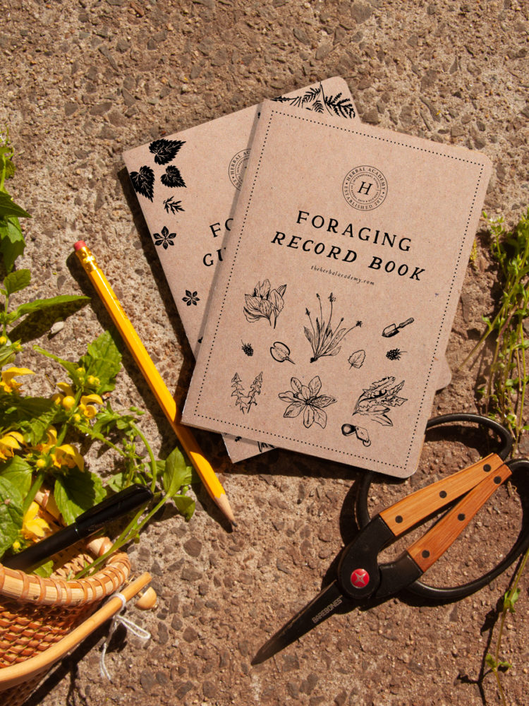 Forager's Pocket Guides – Herbal Academy