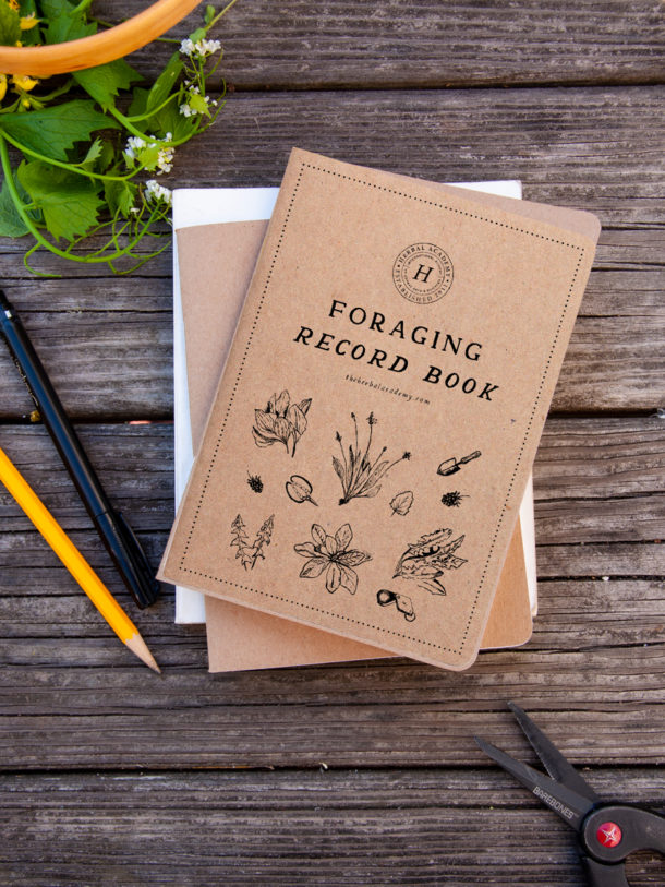 Foraging Record Book Refill Pack (Set of 3) – Herbal Academy