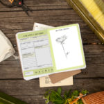 Foraging Record Book Refill Pack (Set of 3) – Herbal Academy