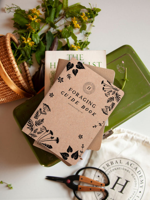 The Foraging Course – Herbal Academy