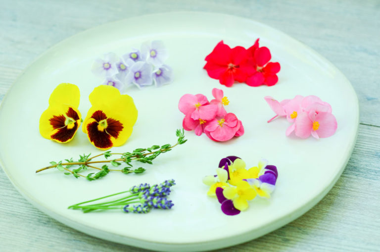 Floral Cookies to Celebrate the Summer Solstice (+Video!)