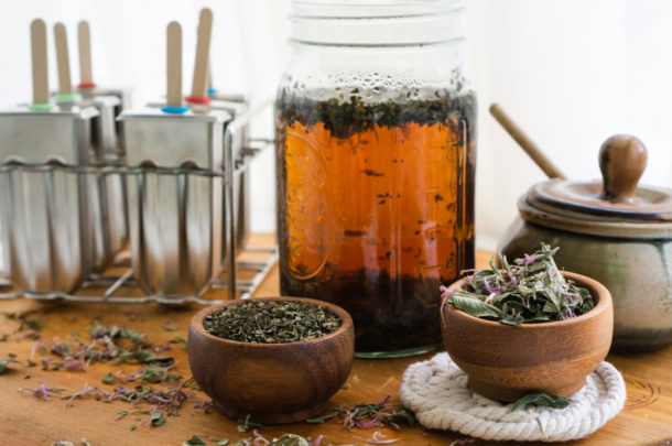 Refreshing Monarda-Mint Ice Pops Recipe – Herbal Academy