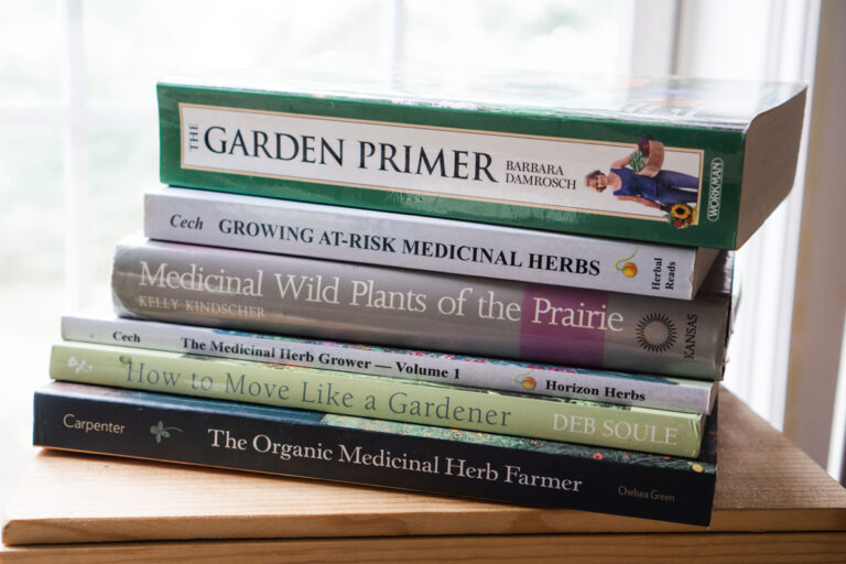 7 Best Plants for a Beginner's Herb Garden – Herbal Academy