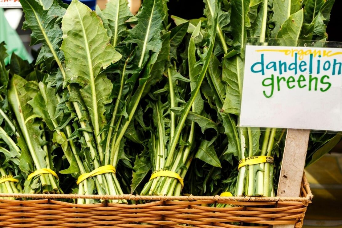 A Foraged Feast: Nutritional Value of Edible Wild Food – Herbal Academy