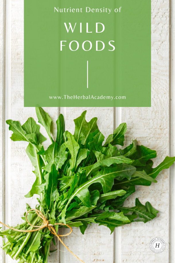 A Foraged Feast: Nutritional Value of Edible Wild Food – Herbal Academy