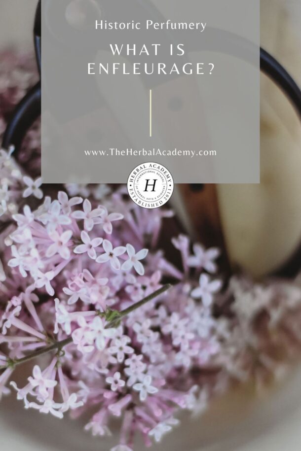 What is Enfleurage? Historic Perfumery Technique with Instructions ...
