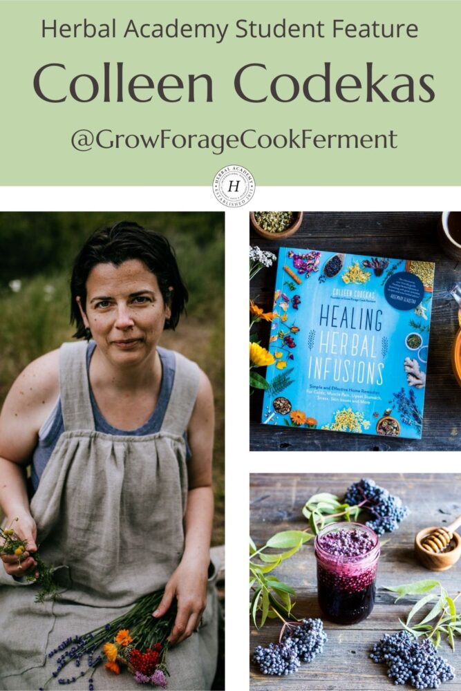 Student Feature: Colleen Codekas @Grow Forage Cook Ferment – Herbal Academy