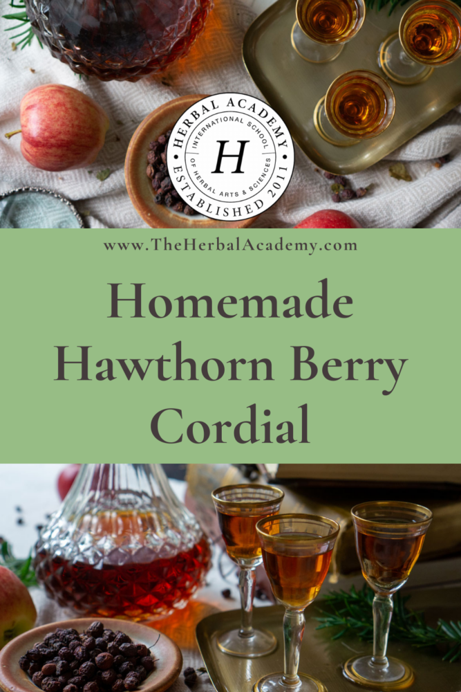 Craft Your Own Delicious Hawthorn Berry Cordial – Herbal Academy