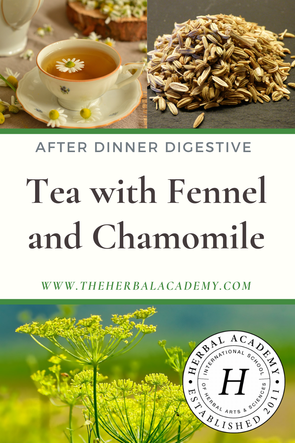 After-Dinner Tea Recipe: Chamomile, Fennel, and Orange – Herbal Academy