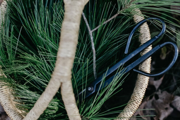 Your Guide to Winter Foraging – Herbal Academy