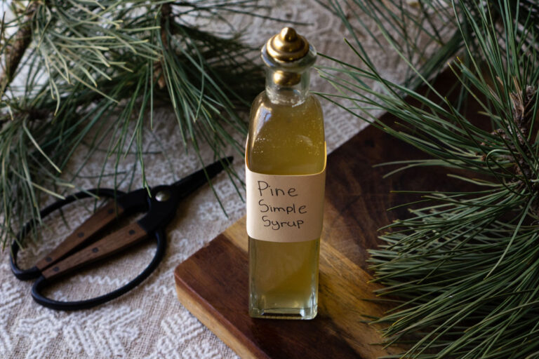 Conifer-Infused Vodka and Simple Syrup | Herbal Academy