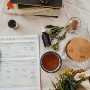 Formulary Notebook Set – Herbal Academy