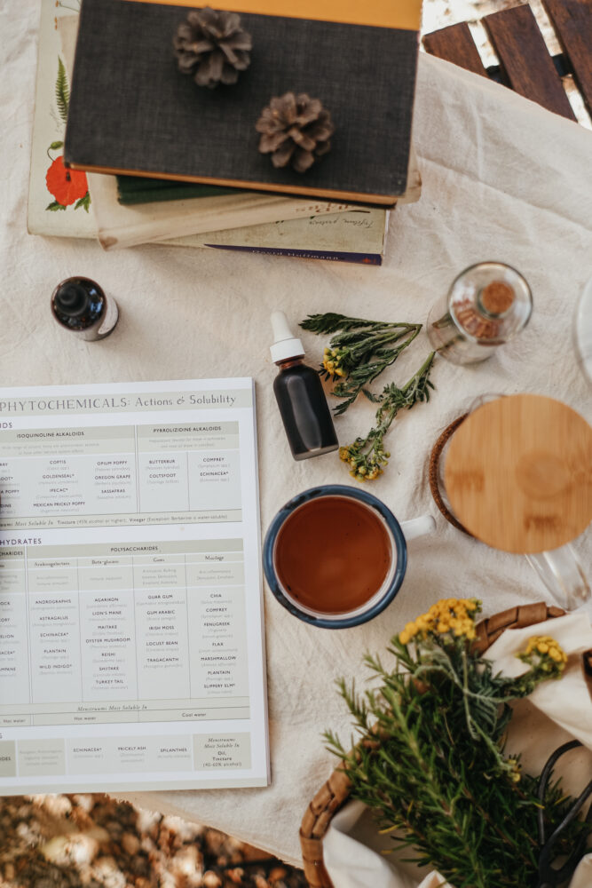 Formulary Notebook Set – Herbal Academy