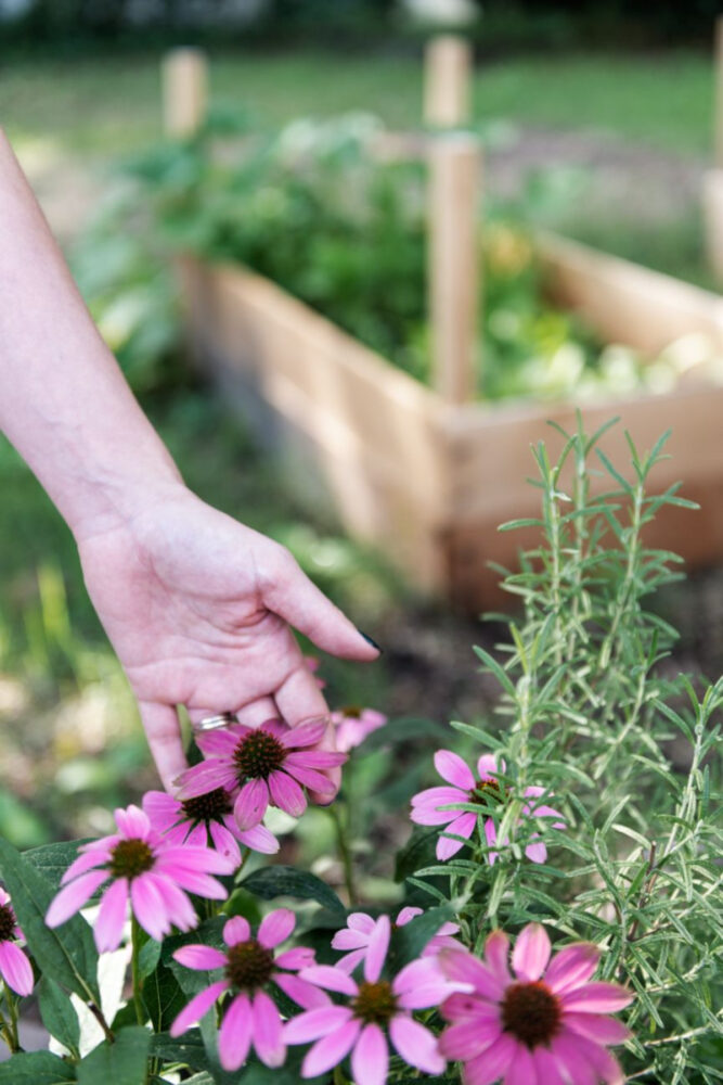 Student Feature Series: Chelsea Stephens (@wildflowerandtherose ...