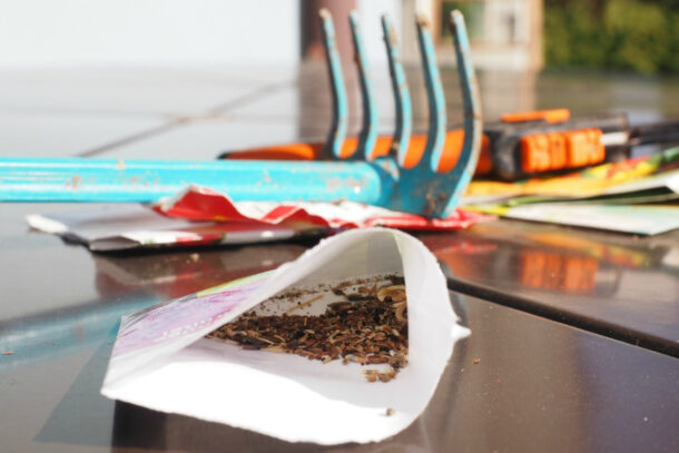 Seed Scarification: What Herb Gardeners Need to Know – Herbal Academy