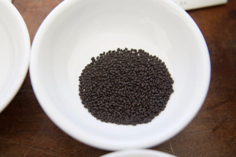 Seed Scarification: What Herb Gardeners Need to Know – Herbal Academy