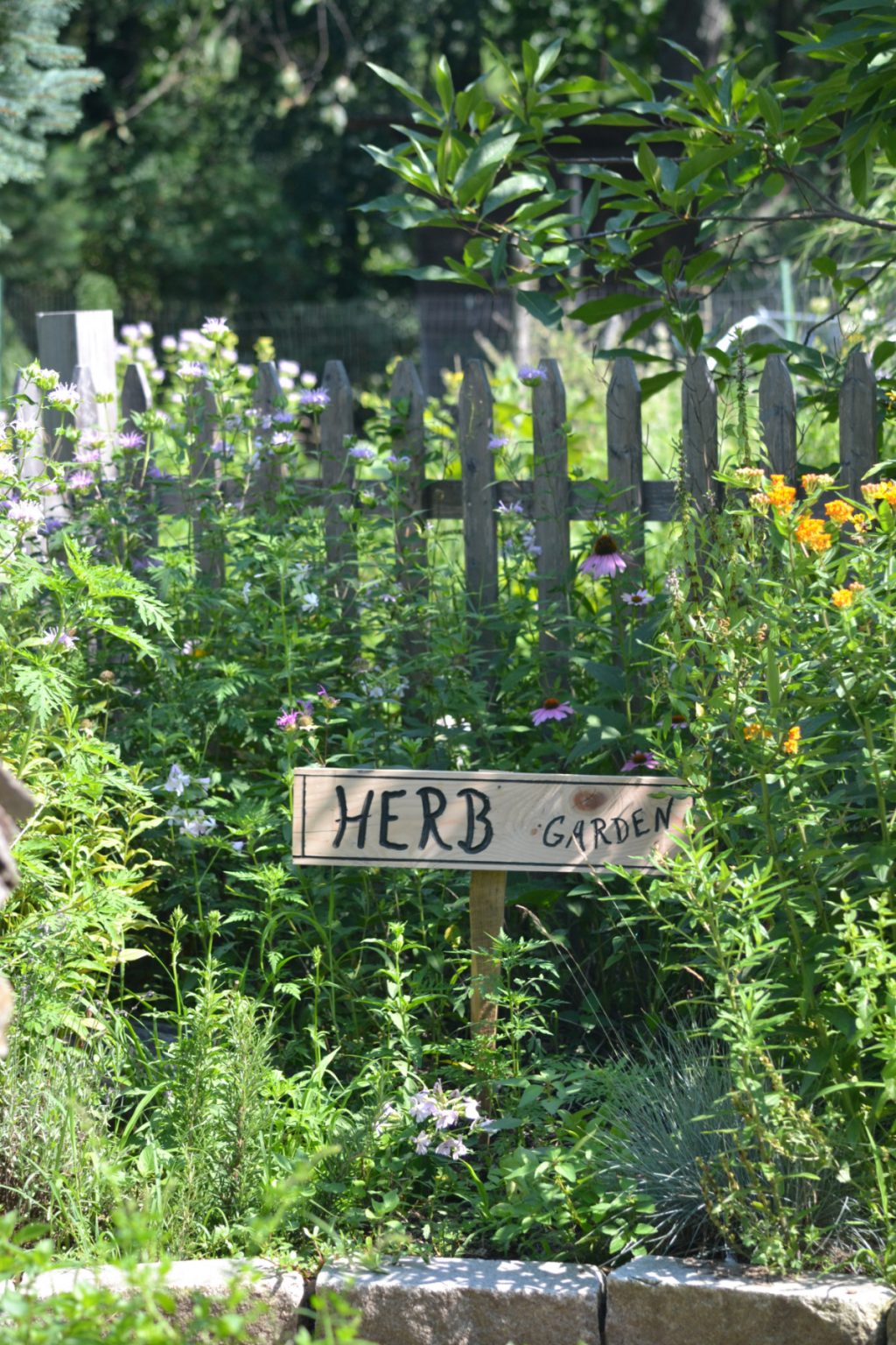 How and Why To Start an Herb Garden – Herbal Academy
