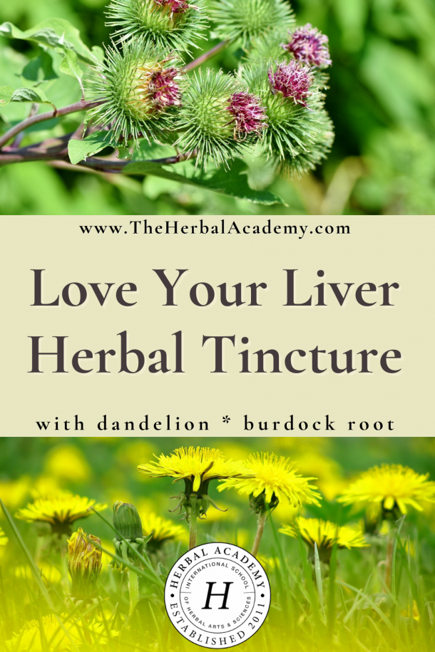 Love Your Liver Herbal Tincture – Herbal Academy