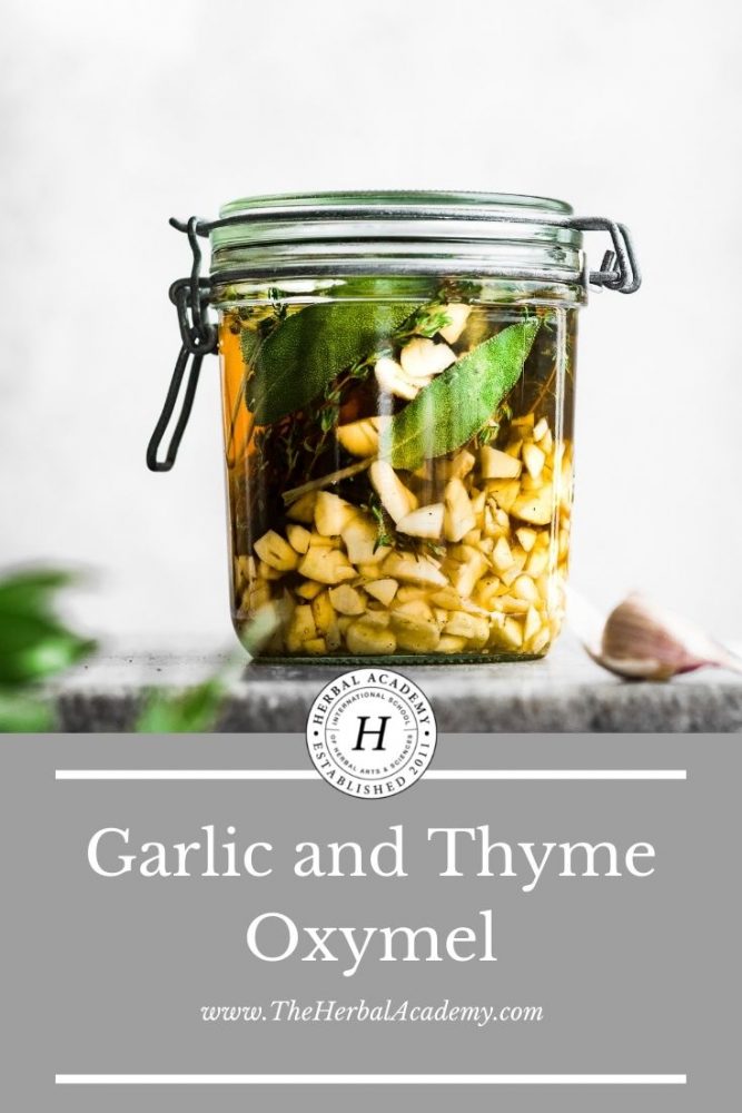 Garlic and Thyme Oxymel – Herbal Academy